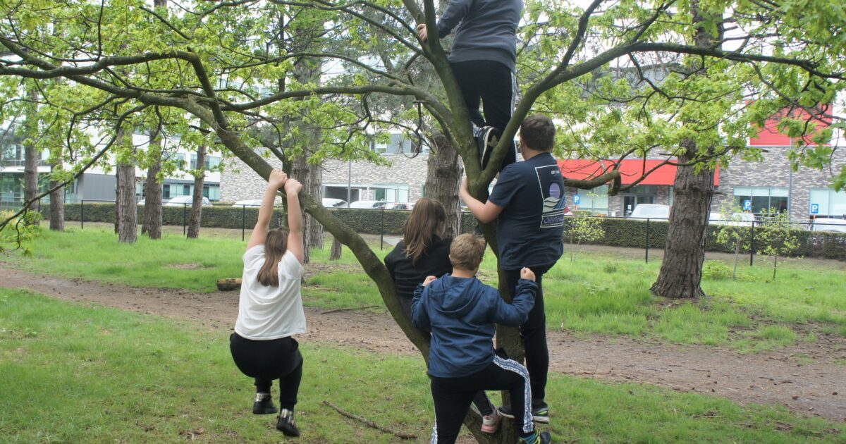 Moedige getuigenissen van Pauline en Robbe, twee Maatjes in… | AZ Alma